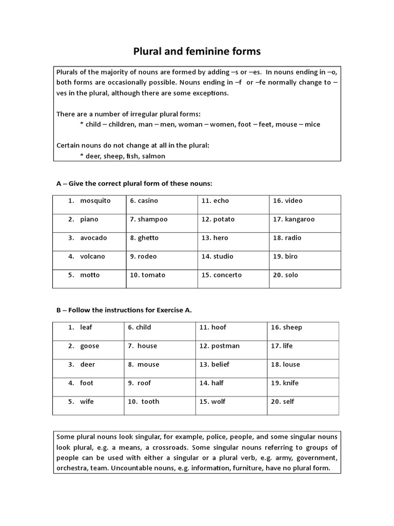 Plural and Feminine Noun Forms | PDF | Plural | Grammatical Number