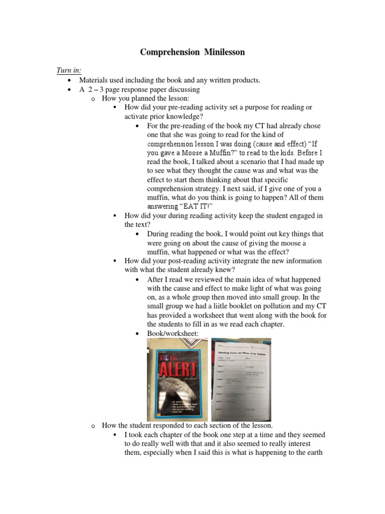 Comprehension Mini Lesson | PDF | Reading Comprehension | Reading (Process)