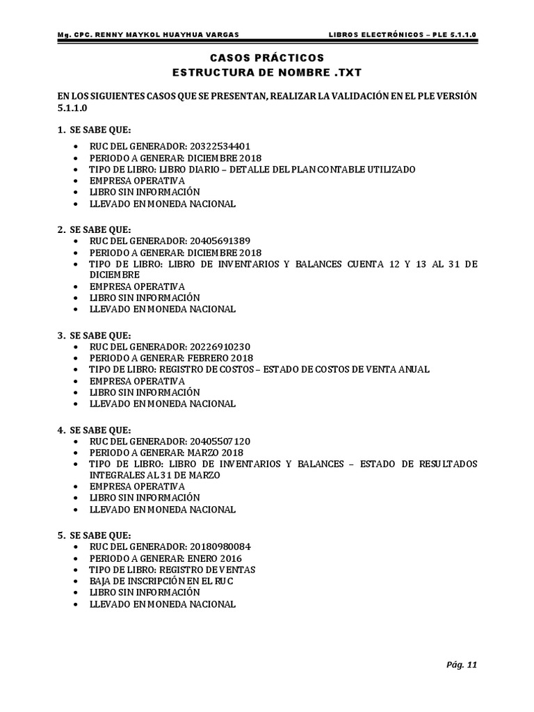 05 Ejercicios Nomenclatura Ple PDF | PDF | Contabilidad | Business