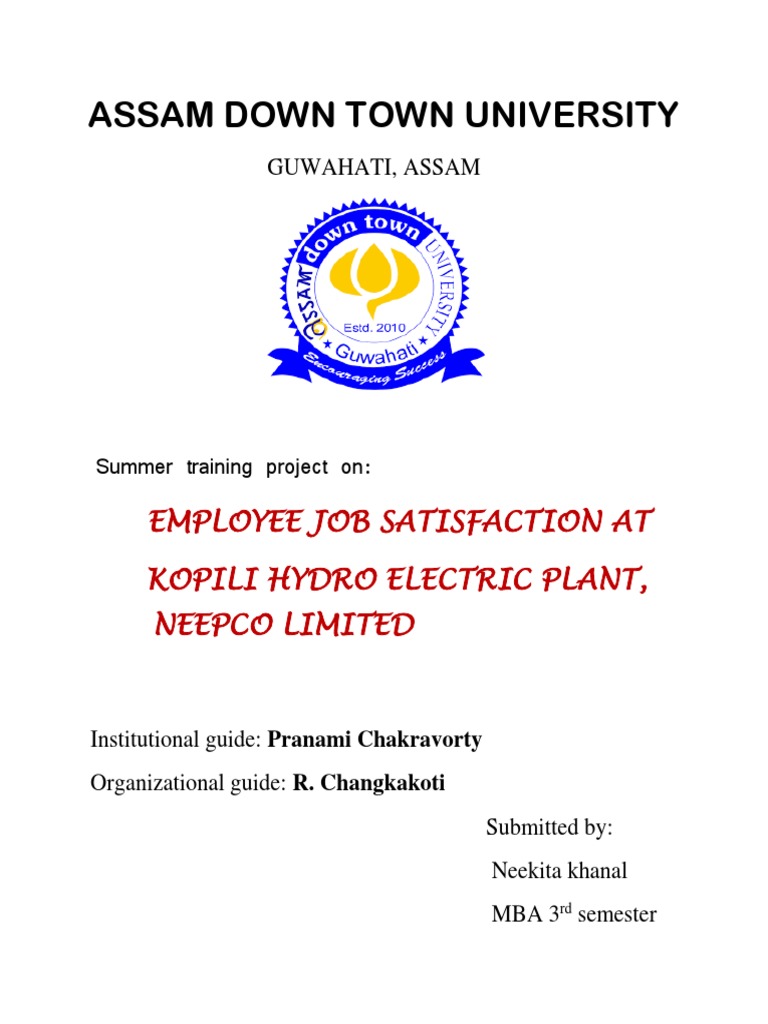 DECLARATION Summer Training-1 | PDF | Job Satisfaction | Human Resource ...