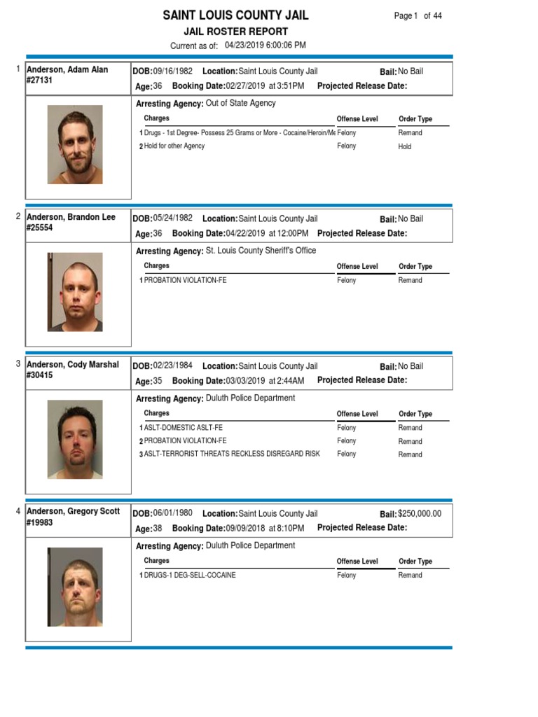St. Louis County Jail Roster Report | PDF | Misdemeanor | Felony