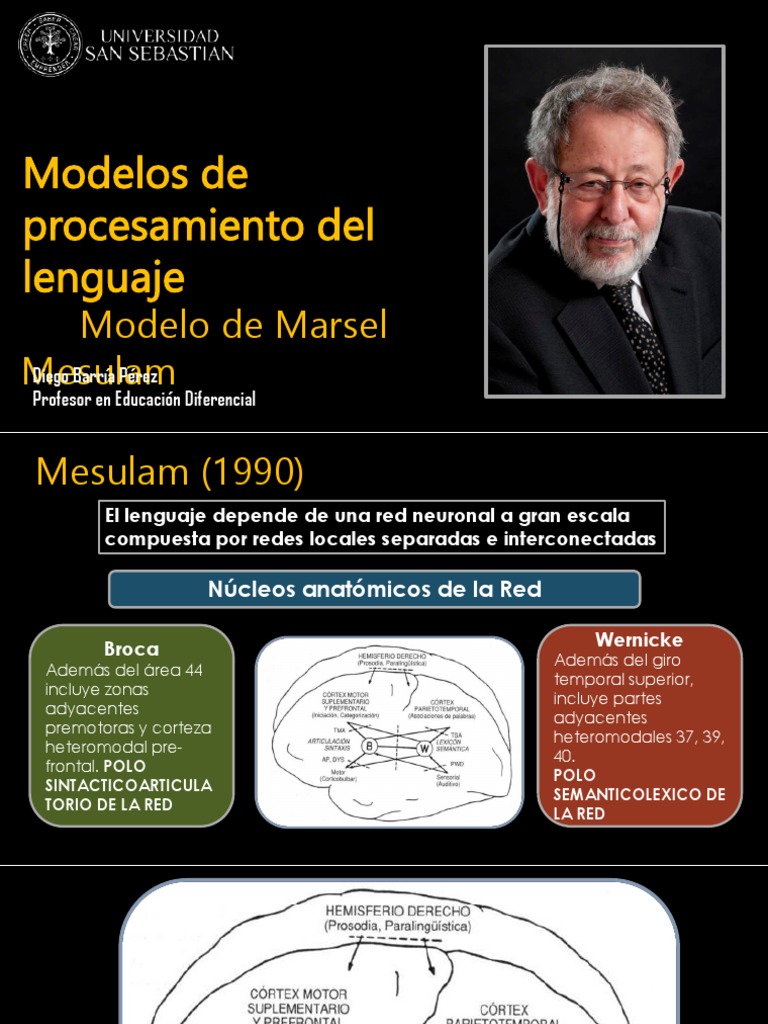 Mesulam | PDF | Palabra | Red neuronal artificial