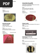 Culture Media | PDF | Growth Medium | Bacteria