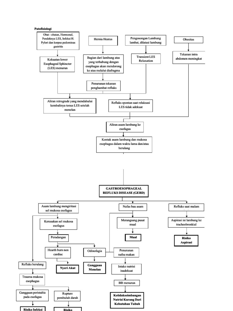 PATOFISIOLOGI GASTROESOPHAGEAL REFLUX DISEASE (GERD) | PDF