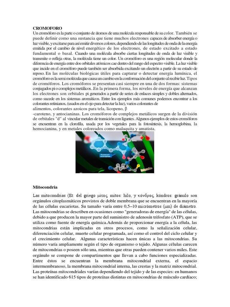 Cromóforos y su rol en biología celular | PDF | Mitocondria | Cromóforo