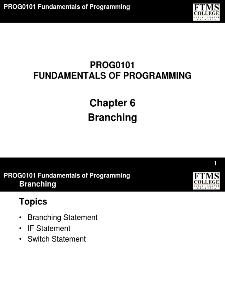 Prog0101 CH06 | PDF | Programming Language | Software Development