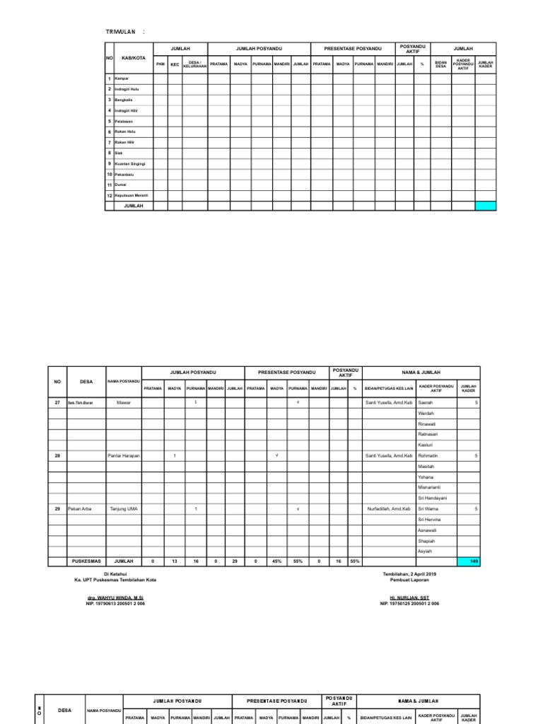Form Data Posyandu | PDF