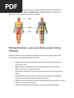 Rumus Baxter - Contoh Perhitungan Luka Bakar - DOKTERLiNE | PDF | Pengembangan Diri | Sains ...
