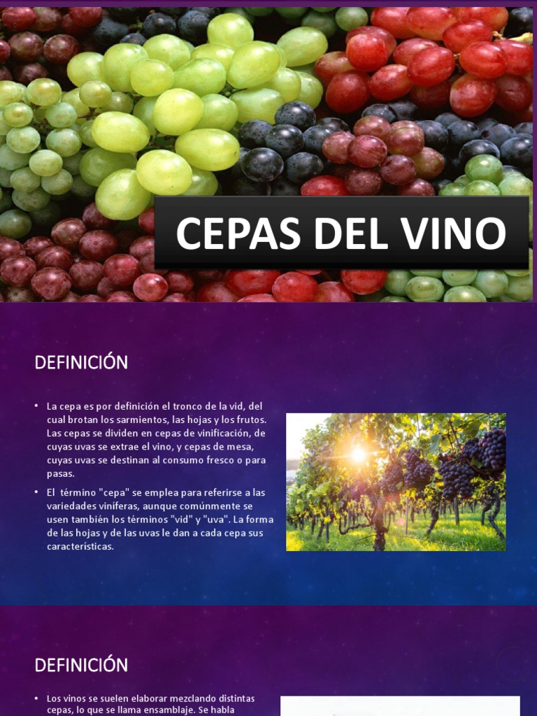 Tipos y características de cepas de vino | PDF | Vino | Variedades De ...