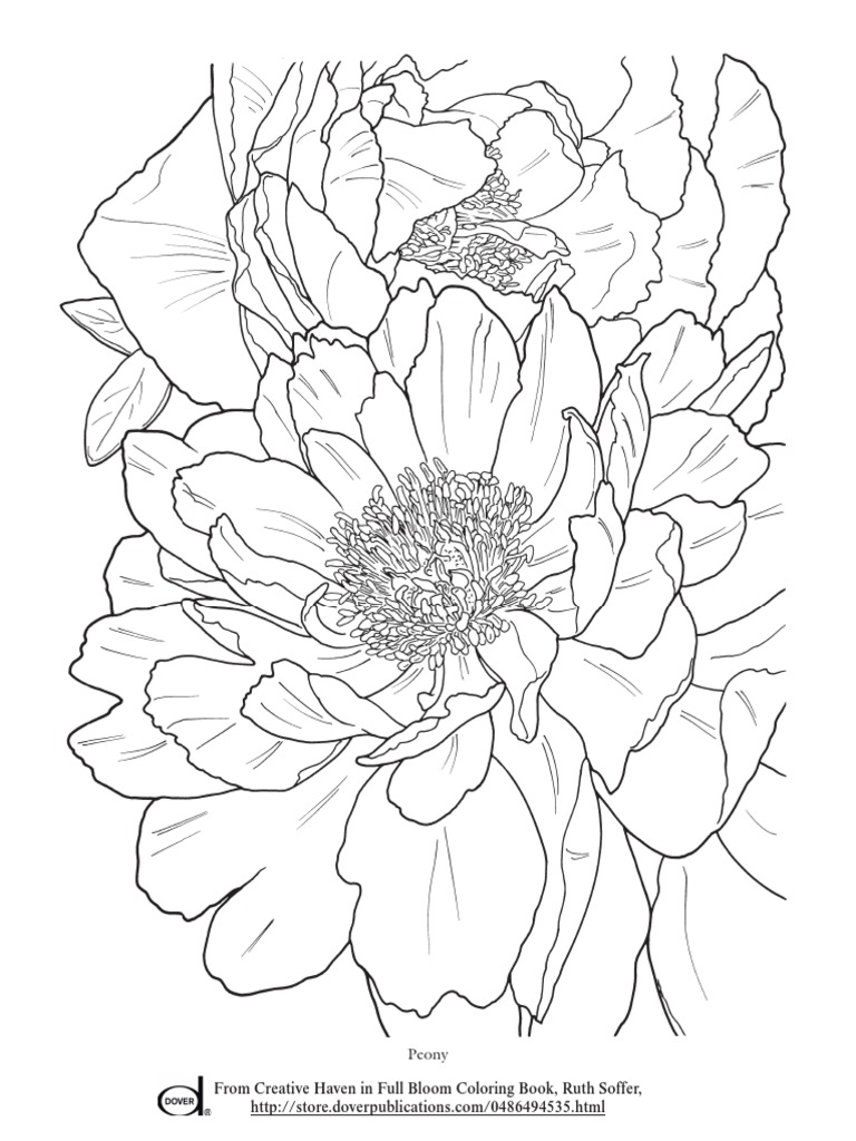 Flower Coloring Pages Dover PDF | PDF