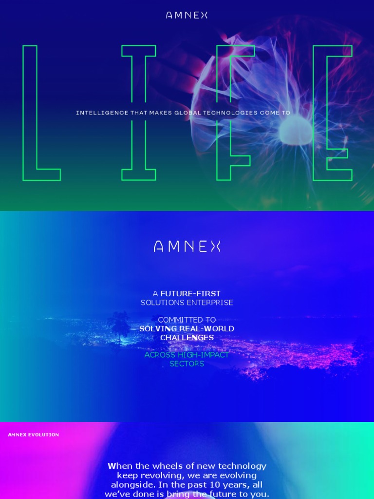 Amnex Corporate Presentation PDF | PDF | Transport | Logistics