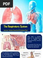 Respiratory Dysfunction | PDF | Hypoxia (Medical) | Respiratory System