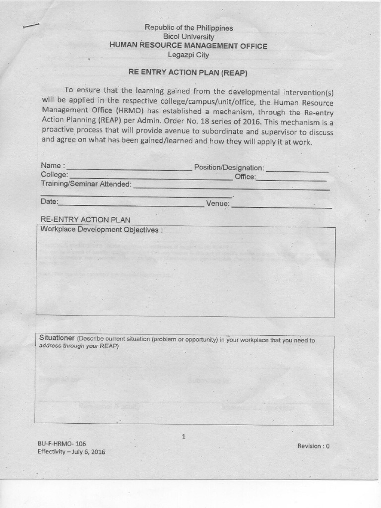 Re Entry Action Plan | PDF