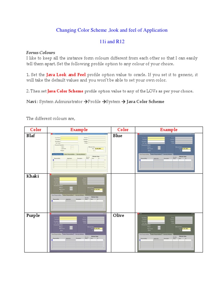 Changing Color Scheme, Look and Feel of Application 11i and R12 | PDF