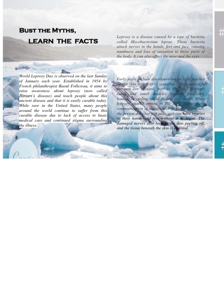 Bust The Myths, Learn The Facts | PDF | Science & Mathematics