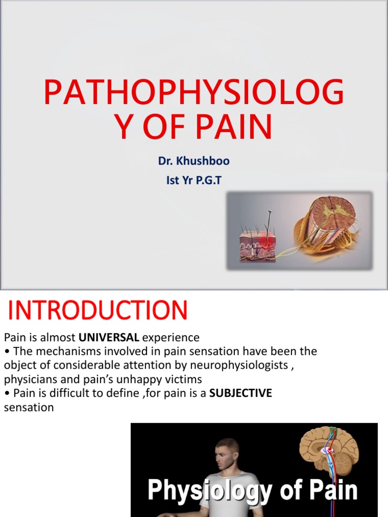 Pathophysiology of Pain Final | PDF | Pain | Peripheral Neuropathy