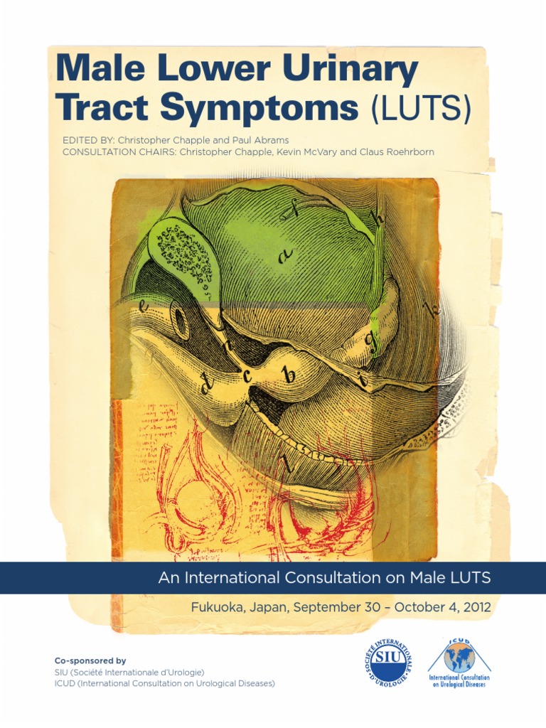 Male Lower Urinary Tract Symptoms (LUTS) PDF | PDF | Urinary ...