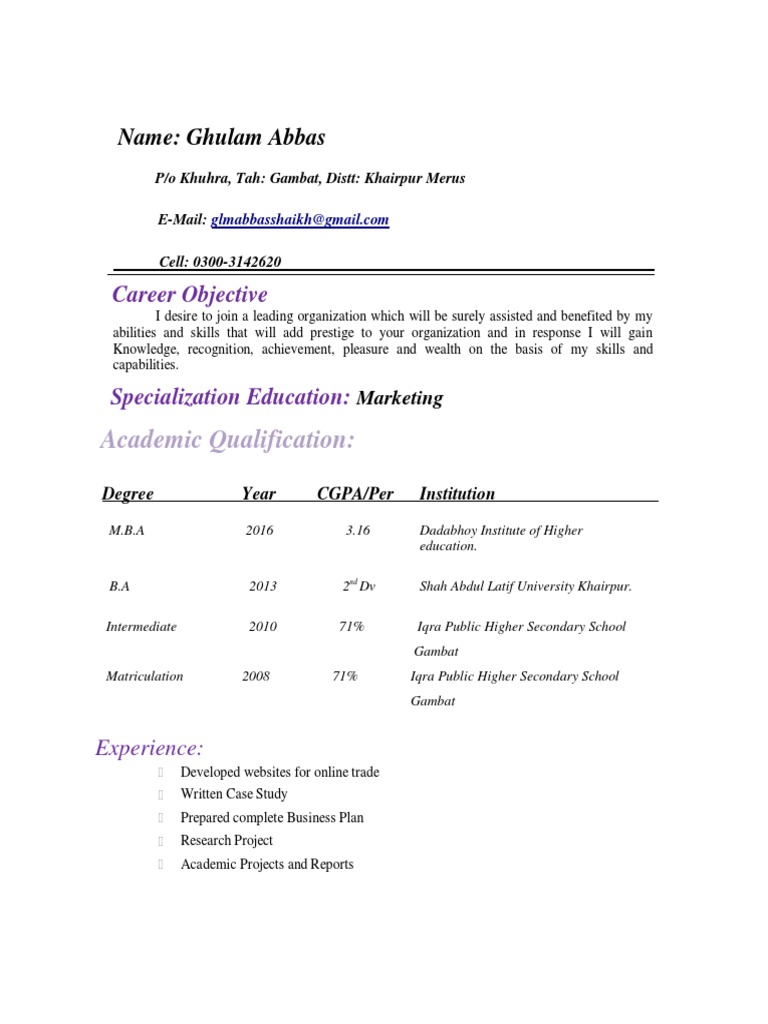 Abbas CV PDF | PDF
