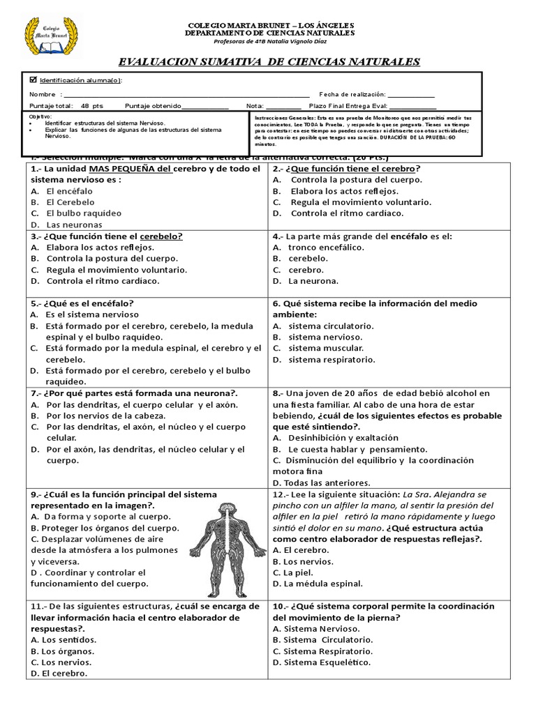 Prueba Sist. Nervioso | PDF | Cerebro | Médula espinal Prueba Sist. Nervioso | PDF | Cerebro | Médula espinal