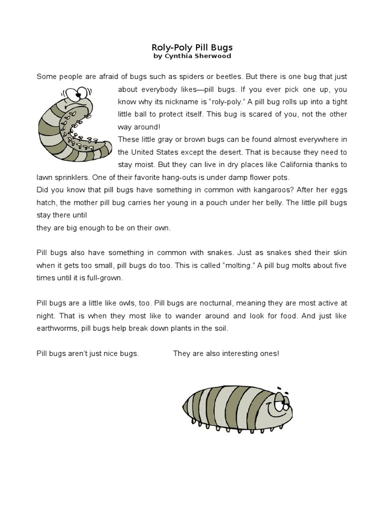 Roly-Poly Pill Bugs: by Cynthia Sherwood | PDF | Nature