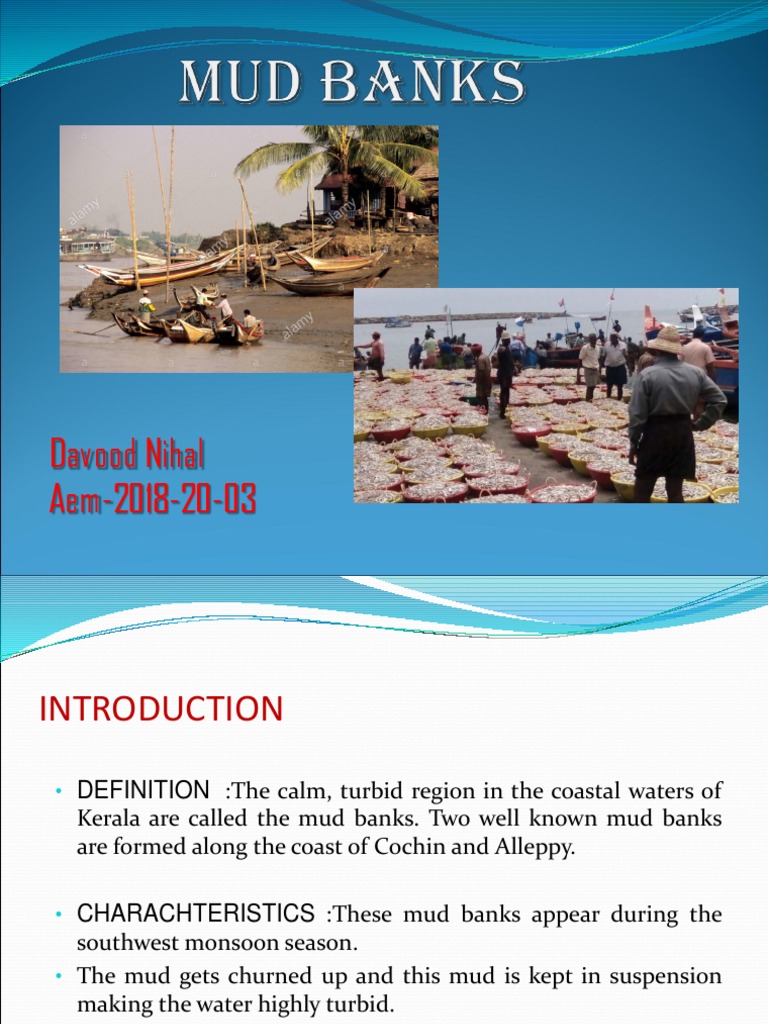 Mud Banks Davd | PDF | Sea | Beach