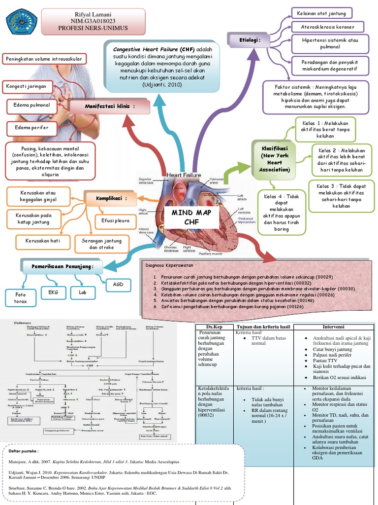 Mind Map CHF | PDF