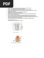Challacombe Scale ENG | PDF | Medical Specialties | Clinical Medicine