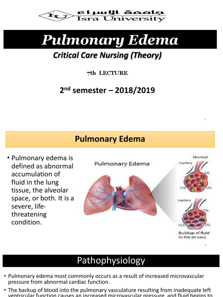 7 Pulmonary Edema | PDF | Lung | Physiology