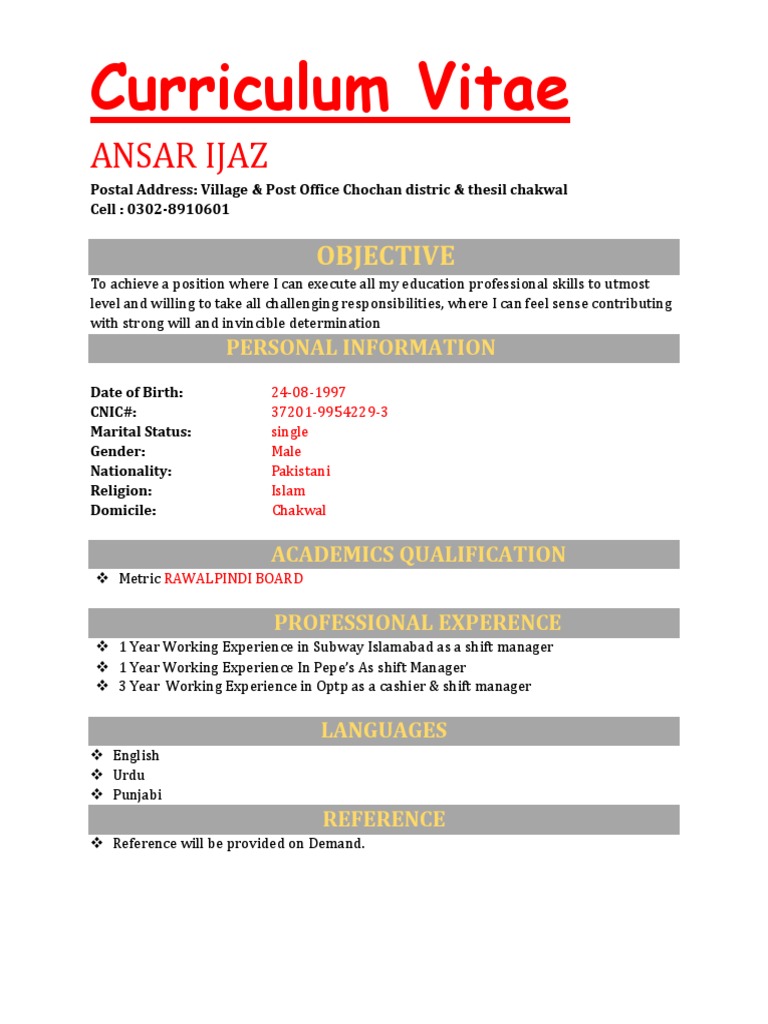 Curriculum Vitae: Ansar Ijaz | PDF