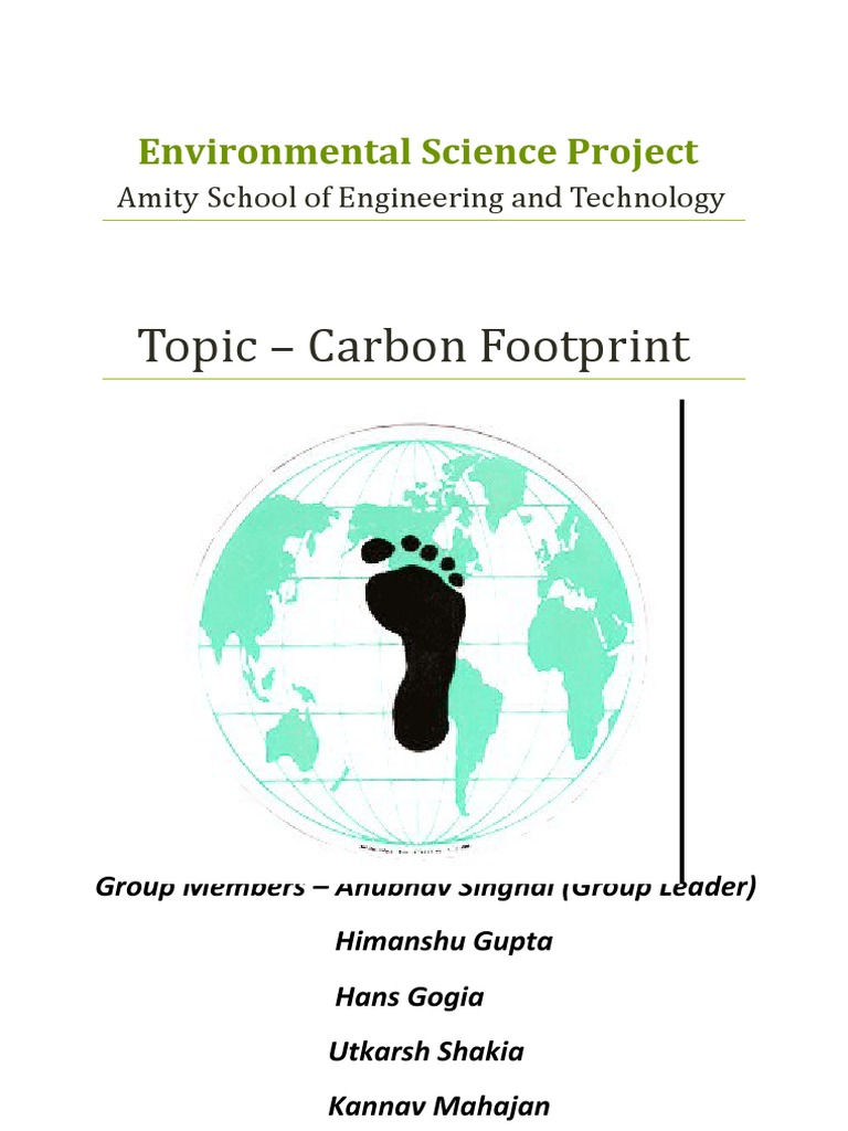 Topic - Carbon Footprint: Environmental Science Project | PDF | Clean ...