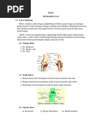 ROM Normal Setiap Regio | PDF
