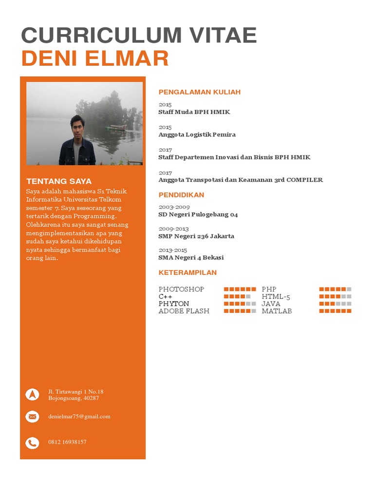 CV Deni | PDF | Karier & Perkembangan