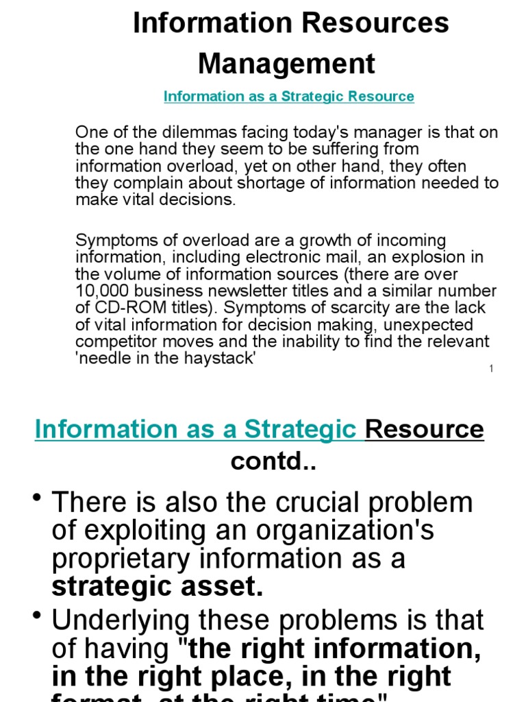 Information Resources Management | PDF | Information | Strategic Management