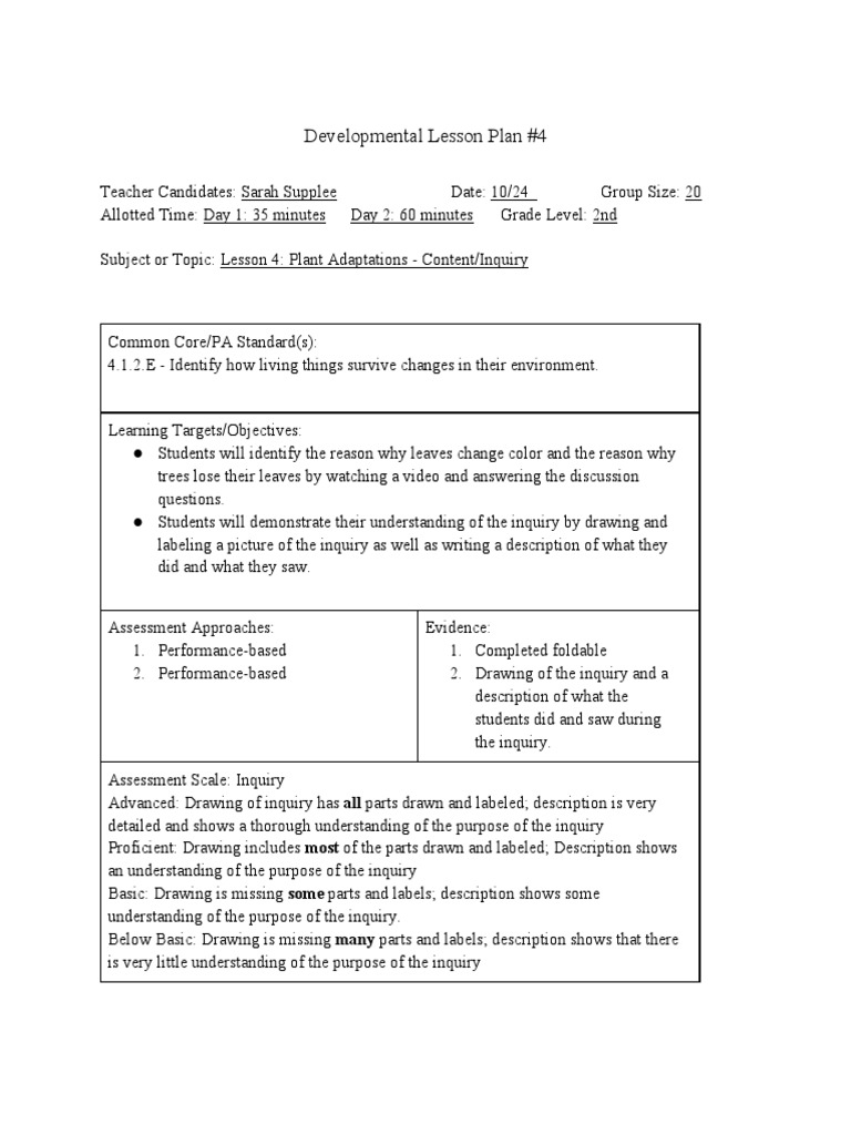 Lesson 4 | PDF | Lesson Plan | Cognitive Science