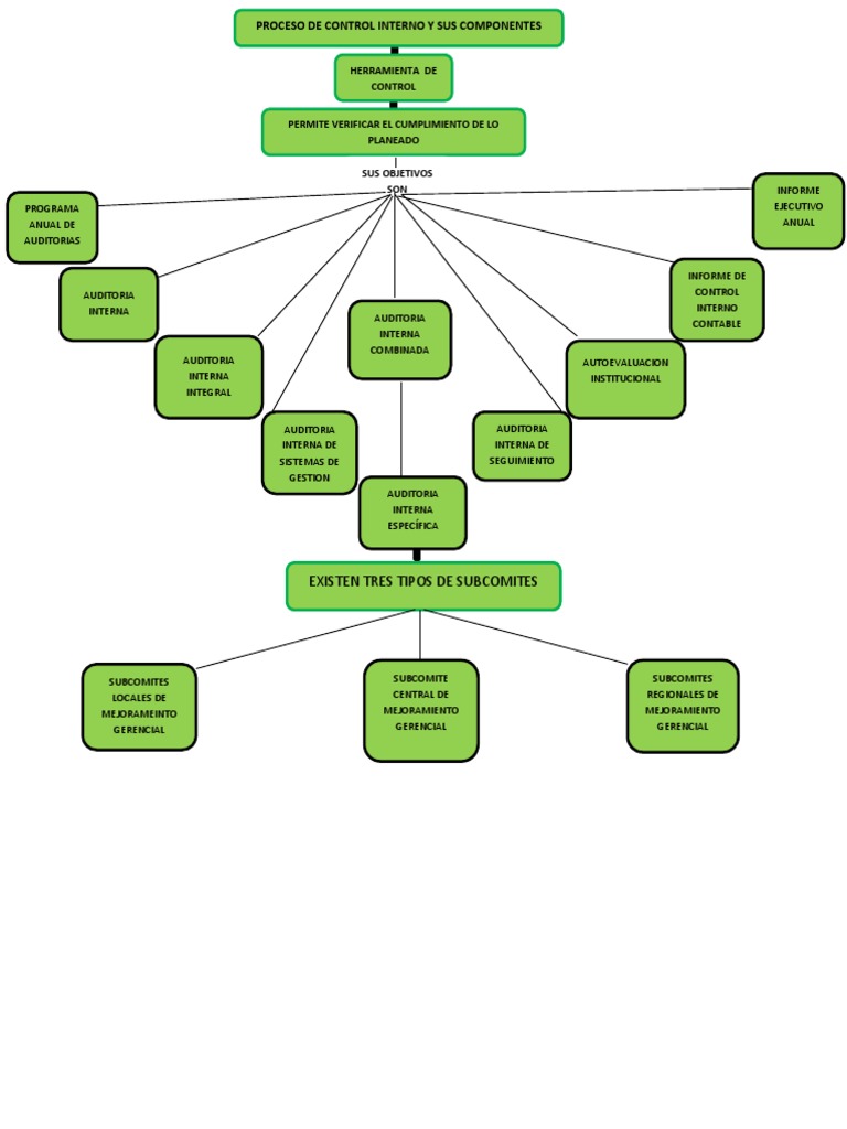 Mapa Conceptual Control Interno | Auditoría | Informática