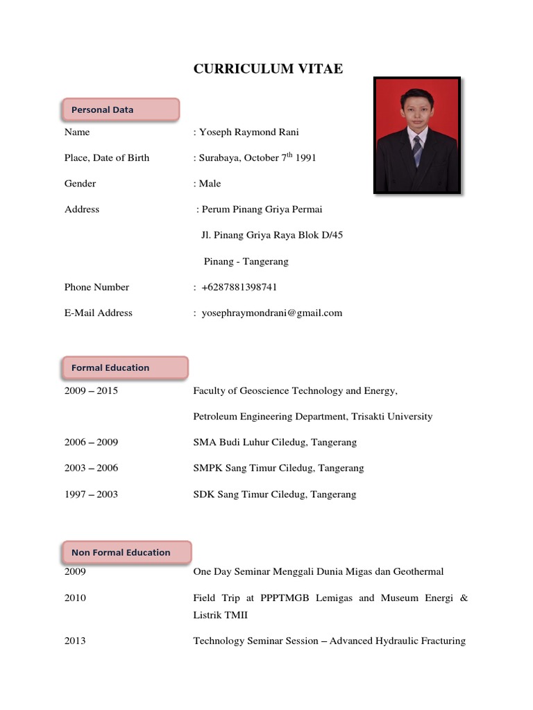Curriculum Vitae: Personal Data | PDF