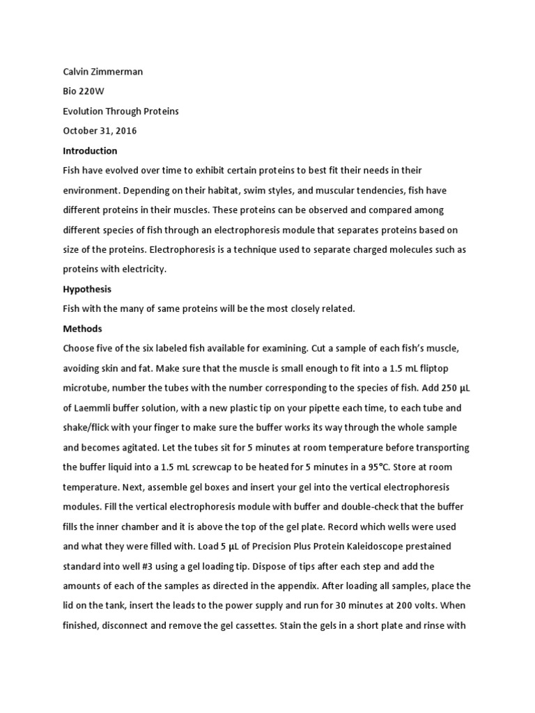 Bio 220w Lab Report Fish Proteins | PDF | Gel Electrophoresis | Proteins