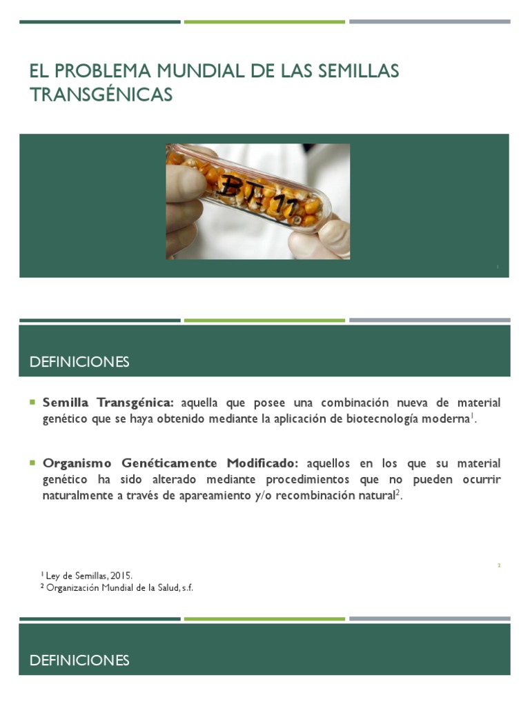 Presentacion Semillas Transgenicas | PDF | Organismo genéticamente ...