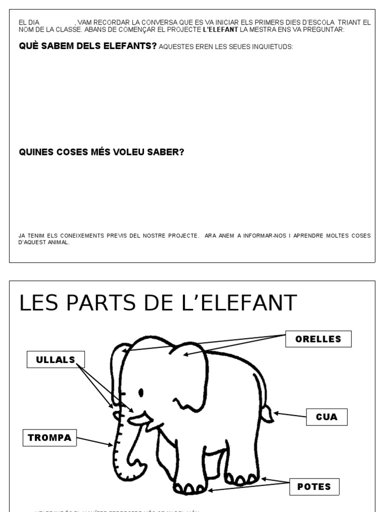 PROJECTE Elefant | PDF