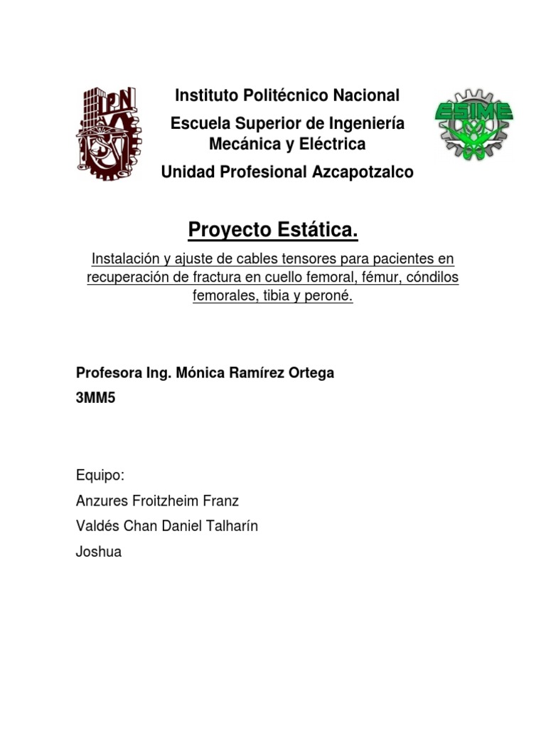 Proyecto Estática | PDF | Física | Lesión