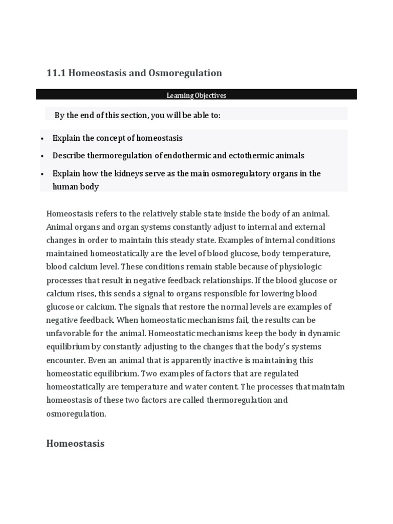 Homeostasis and Osmoregulation | PDF | Homeostasis | Kidney