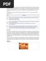 Anatomy and Function of Fingers | PDF | Finger | Thumb