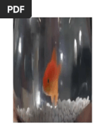 TEACHING PLAN Life Skills Grade 5 - Term 3 | PDF | Dances | Entertainment