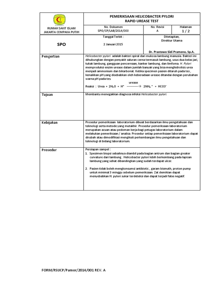 Diagnosis Infeksi Helicobacter pylori Melalui Tes Urease Cepat | PDF