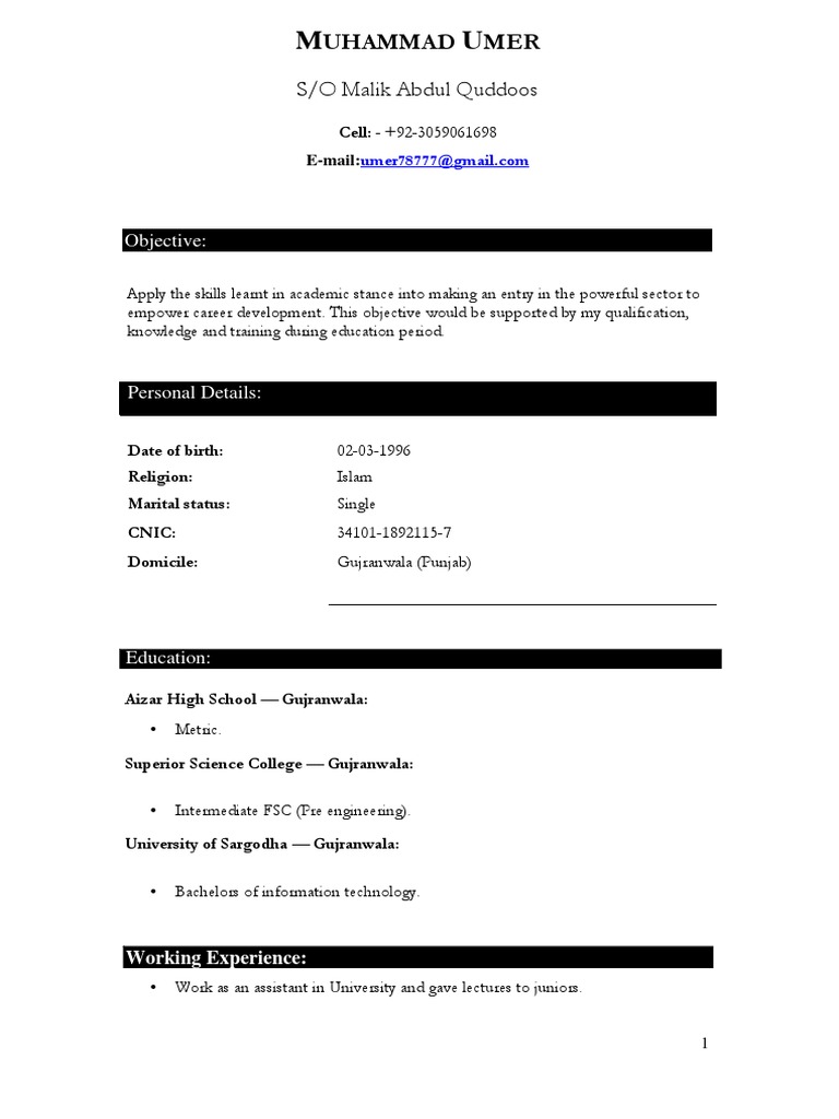 Muhammad Umer Malik's CV Summary | PDF