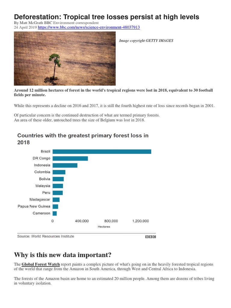Deforestation Data 2018 BBC April 2019 | PDF | Deforestation | Amazon ...