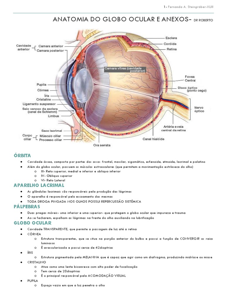 RESUMO Oftalmo | PDF | Olho humano | Córnea