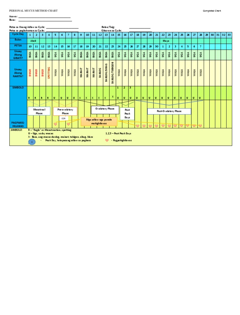 Personal Mucus Method Chart Completed Chart | PDF | Maternal Health ...