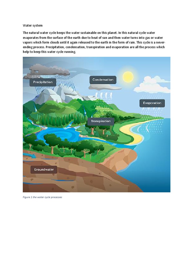 Assignment 1 Water System | PDF | Sewage Treatment | Water Supply Network