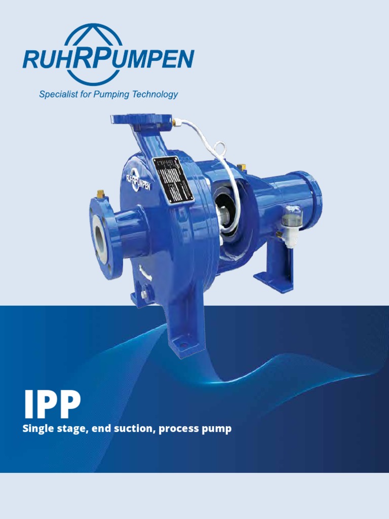 Single Stage, End Suction, Process Pump for Chemical, Pharmaceutical ...